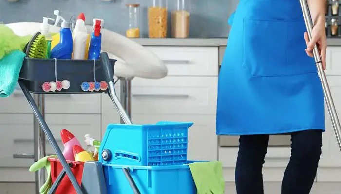 Why We Should do Maid Servant Background Verification before hire?